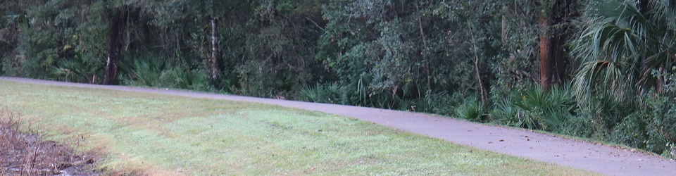 Fun Run - Freedom 5k Run Wesley Chapel